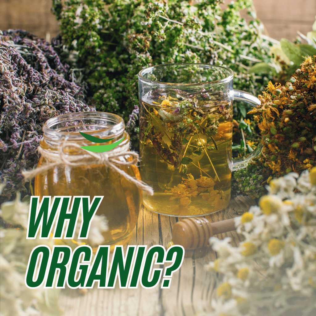 5 Reasons Why Organic Tea is Better for the Environment - Bondi Beach ...
