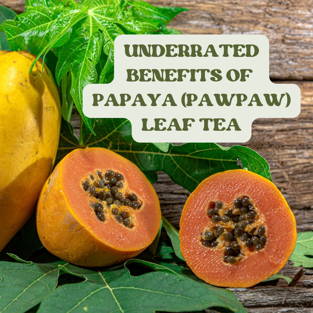 The Hidden Benefits of Papaya Leaf Tea You Need to Know - Bondi Beach ...