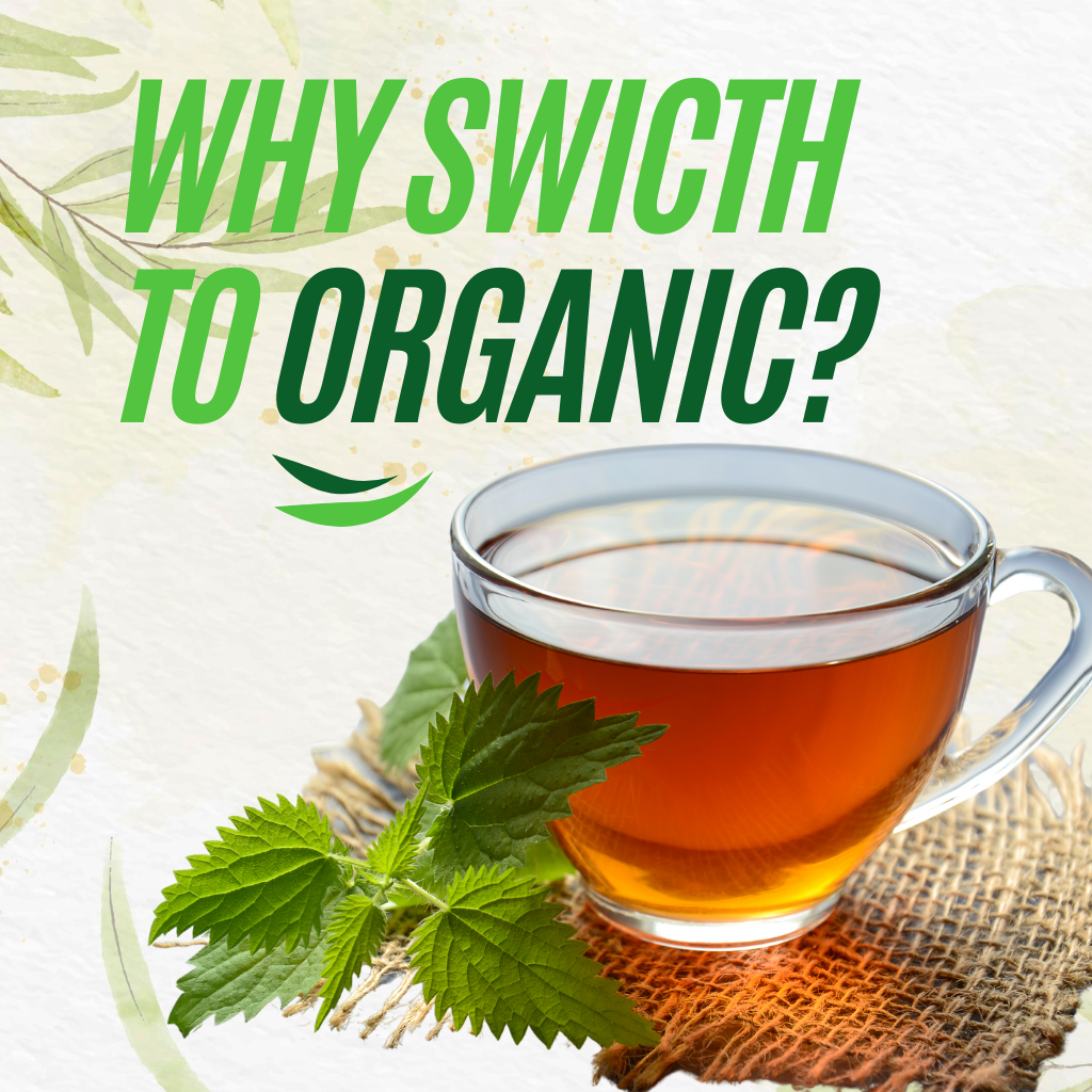 The Health Benefits of Organic Tea: Why Switching to Organic Matters ...